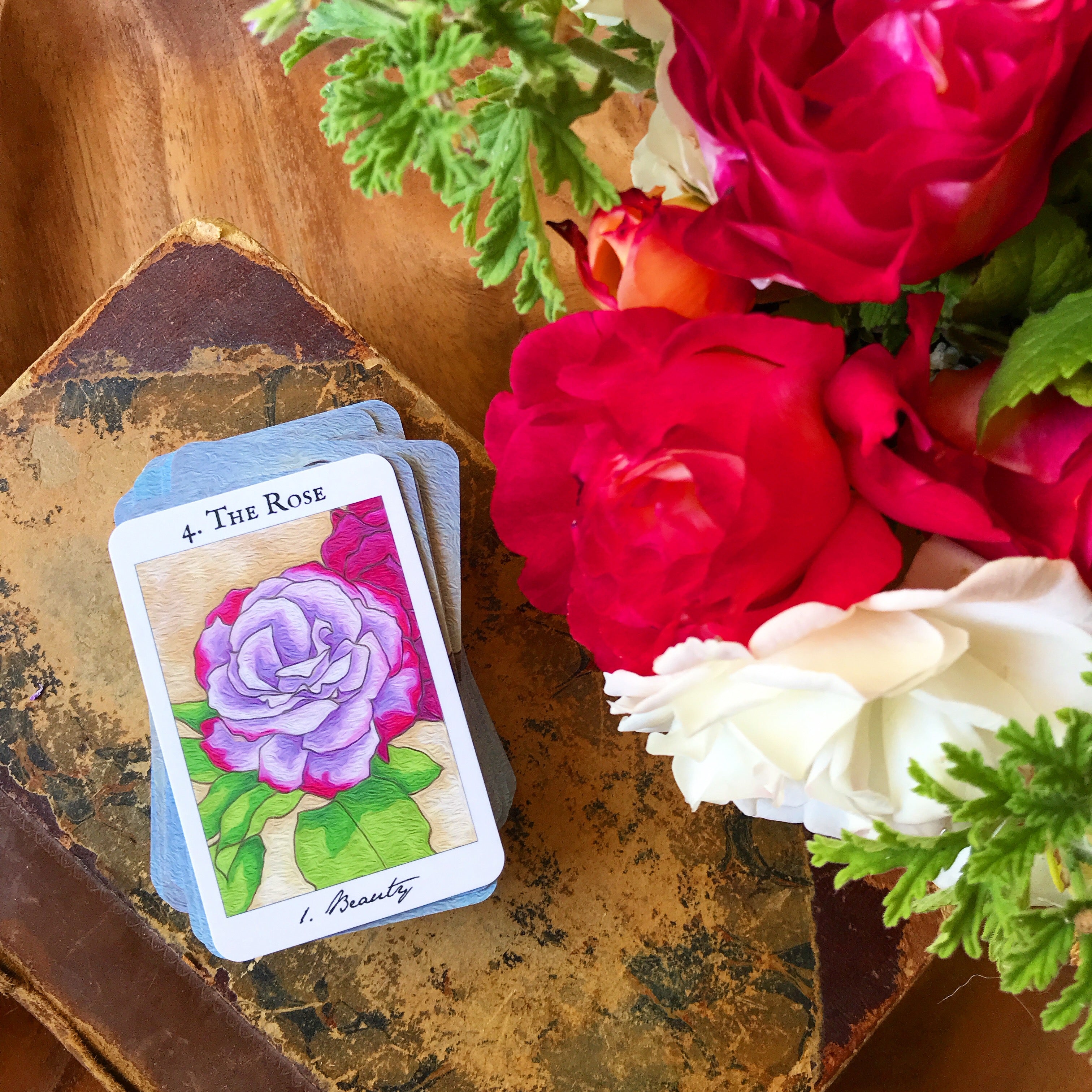 Cartomancy – The Wild Empress